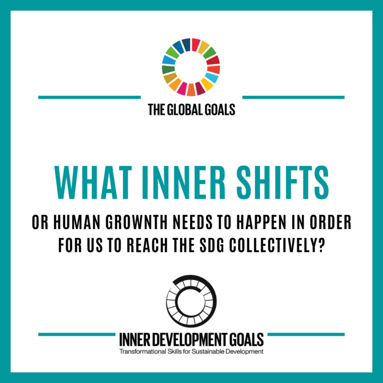 Inner Development Goals – The University Global Coalition
