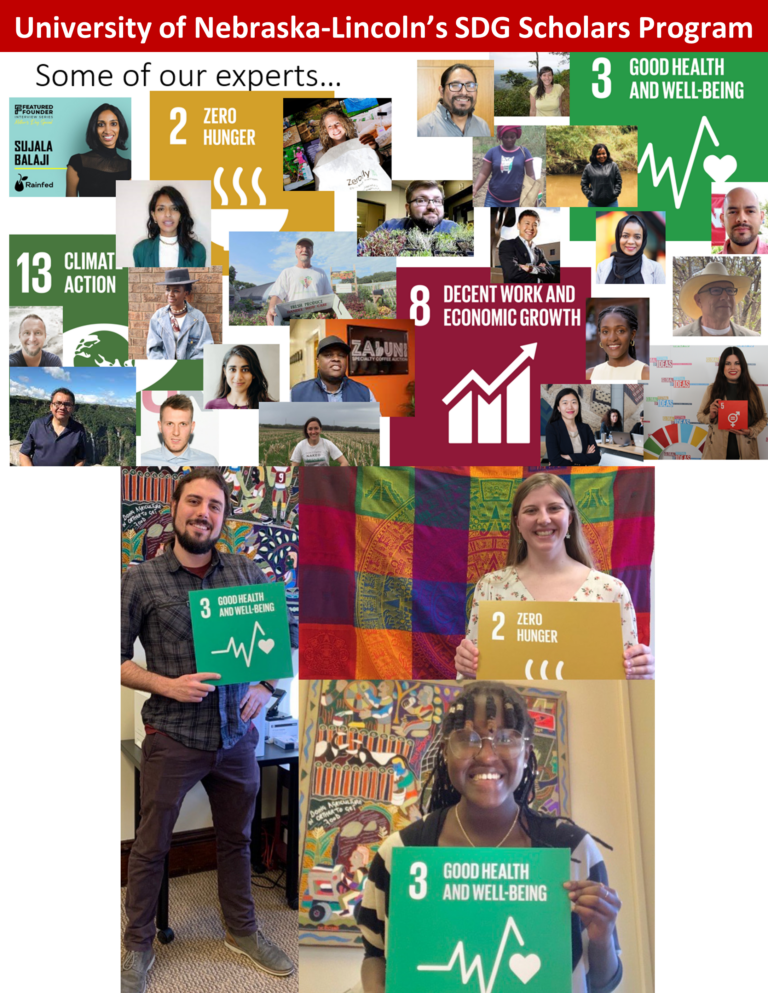 Advancing careers & the SDGs: how a co-curricular program prepares ...